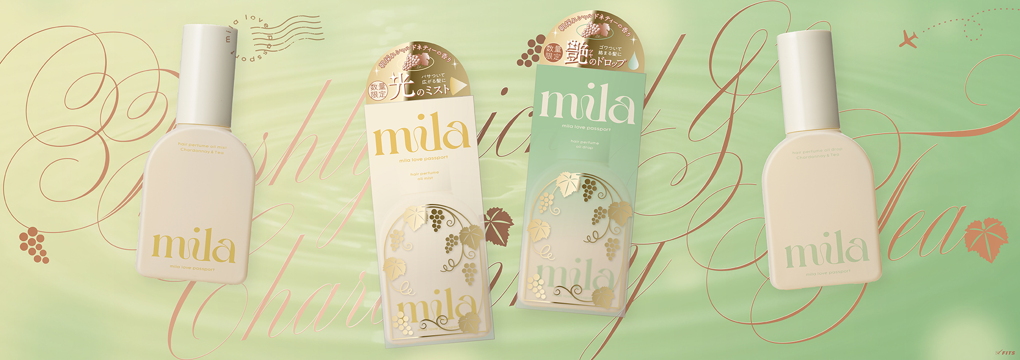 mila AW24 | WORKS | TM INC.